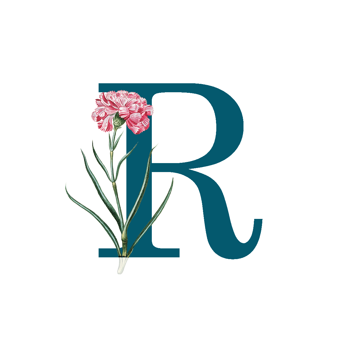 Complete Guide to Raspberry Bush Care – Earthly Comforts