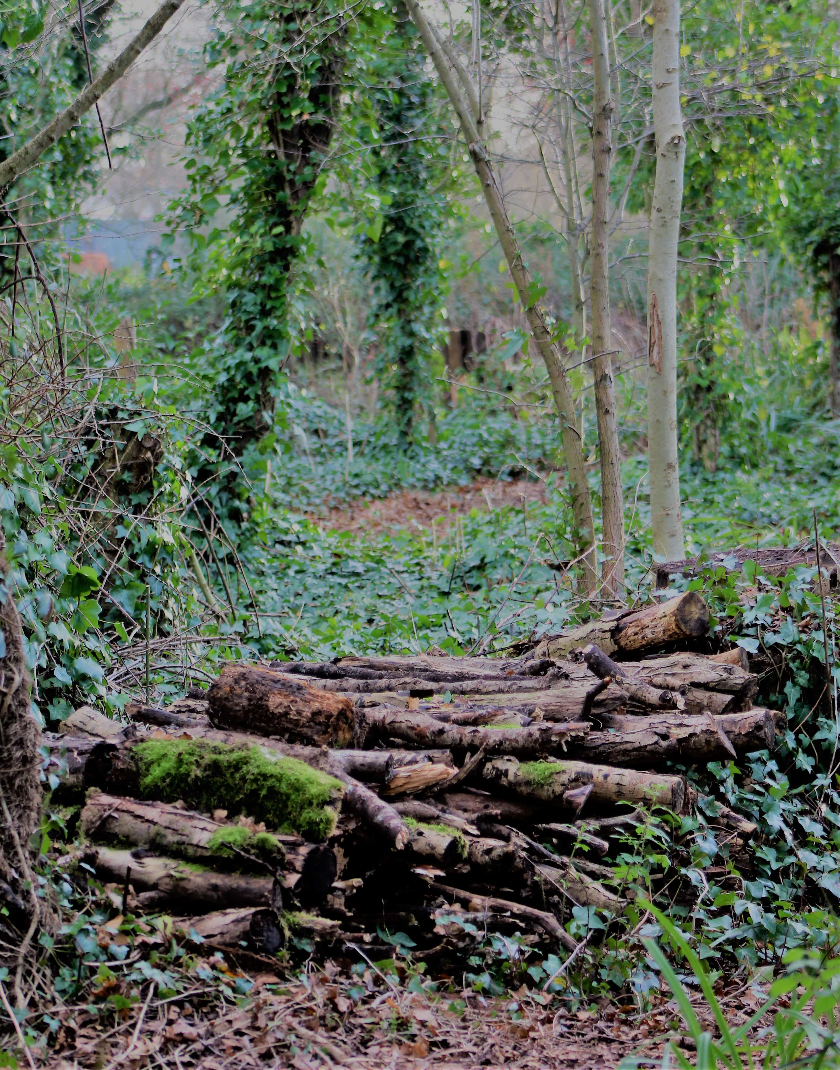 Gazen Salts Nature Reserve – Earthly Comforts